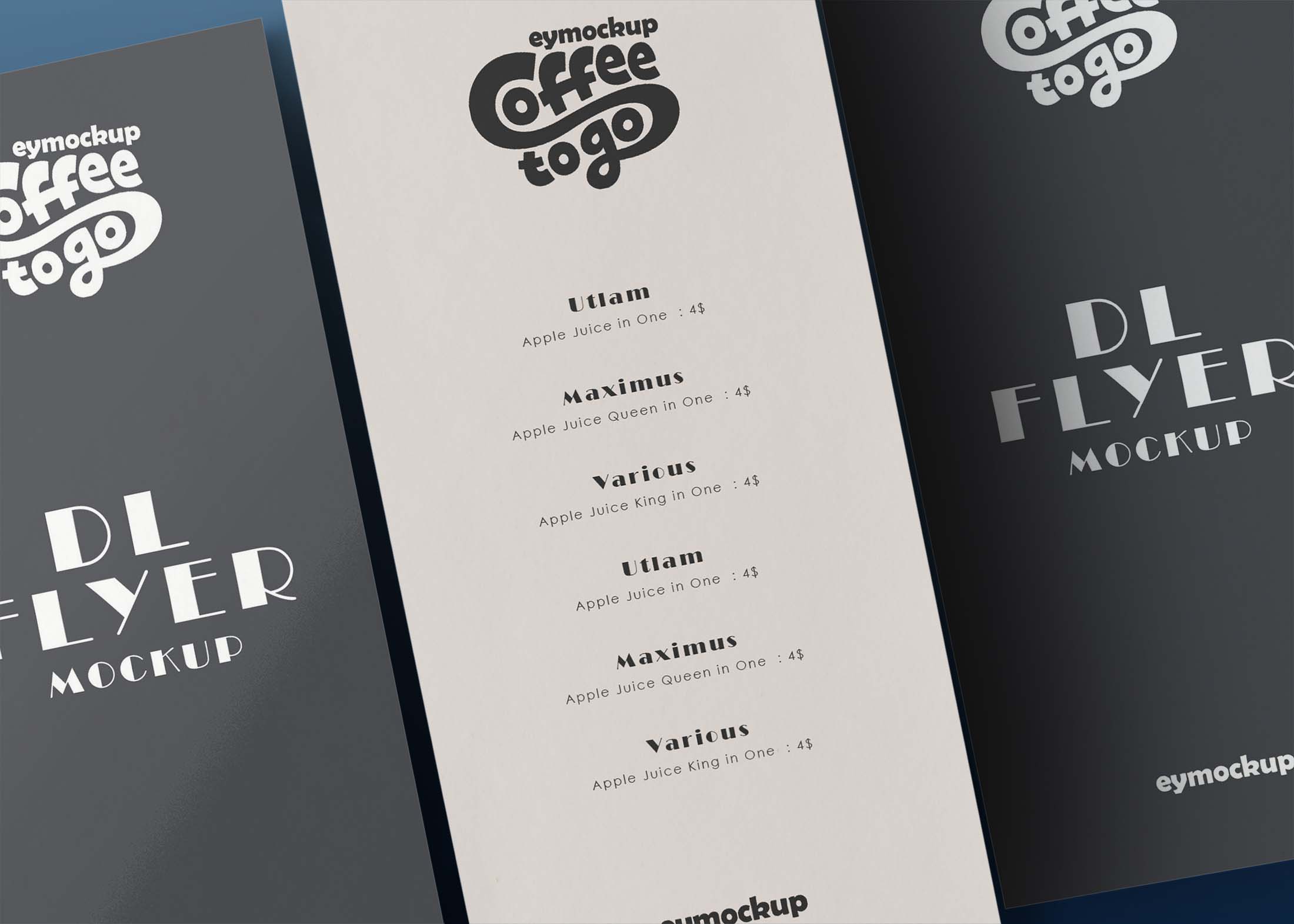 Download Free Multiple DL Flyer Mockup